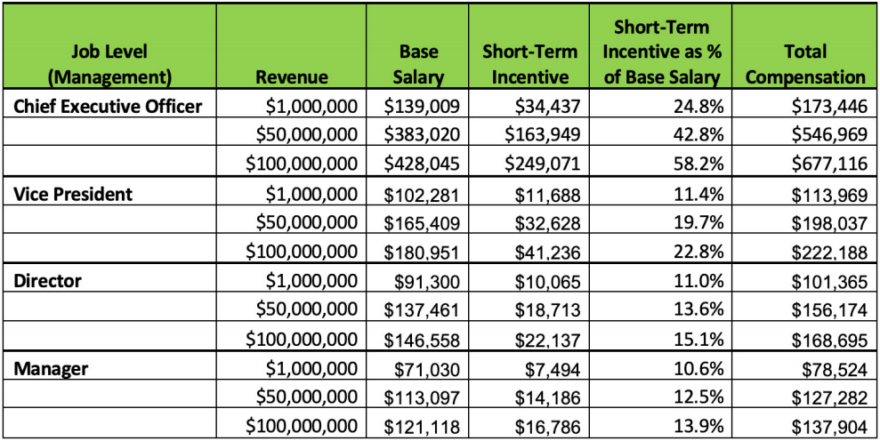 Short-Term Incentive Compensation Trends | ERI Whitepaper