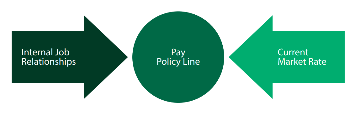 How to Develop an Organization Pay Policy